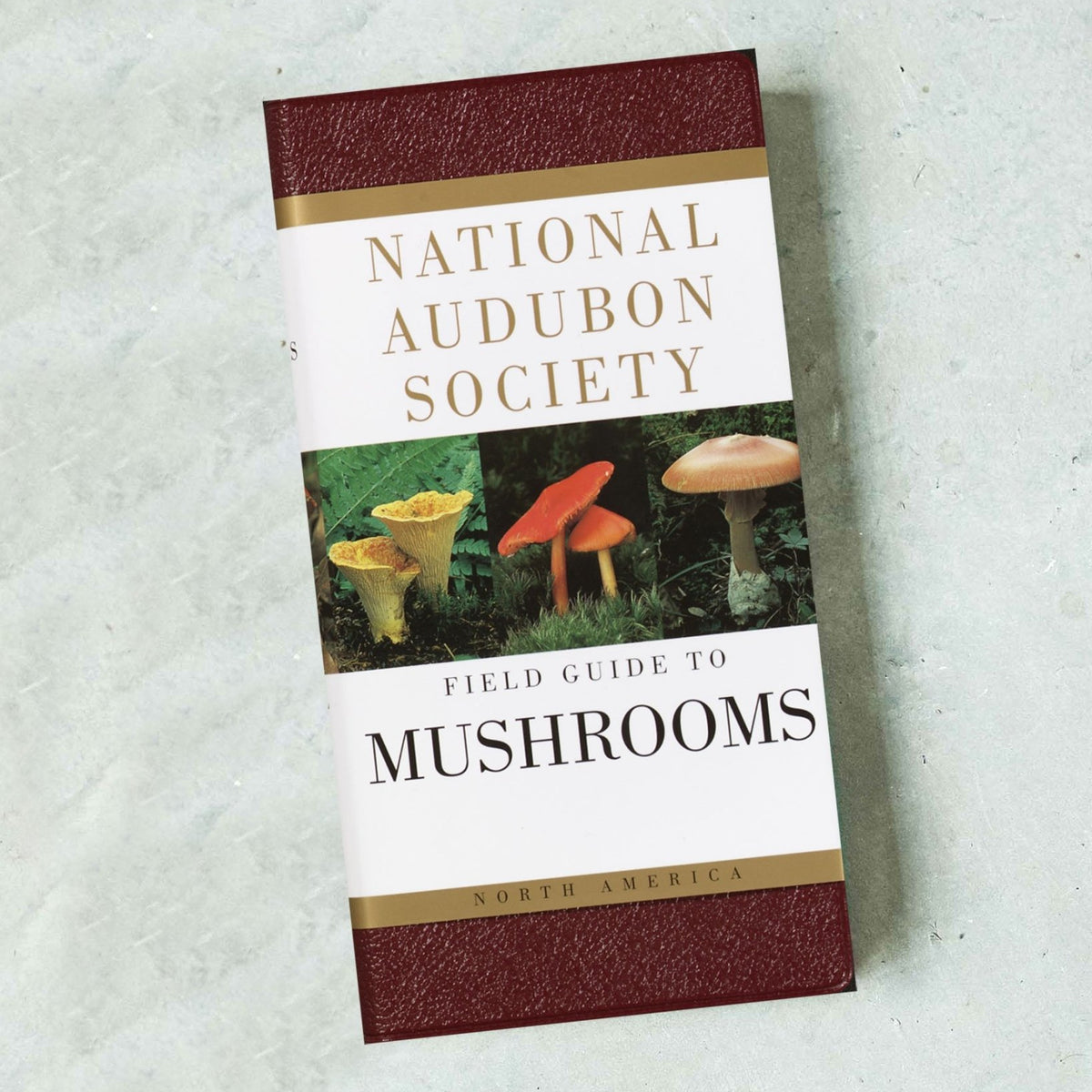 National Audubon Society Field Guide to North American Mushrooms ...